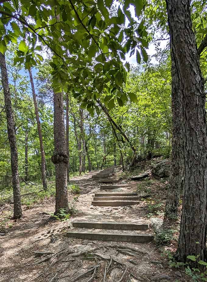 Wooden steps guide you gently through the forest, because even nature trails appreciate a little help sometimes.