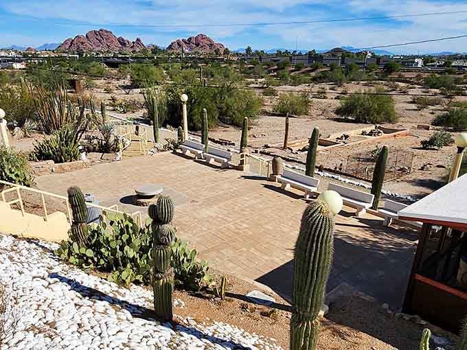 From this vantage point, Papago Buttes photobomb the castle's terraced gardens in the most Arizona way possible.