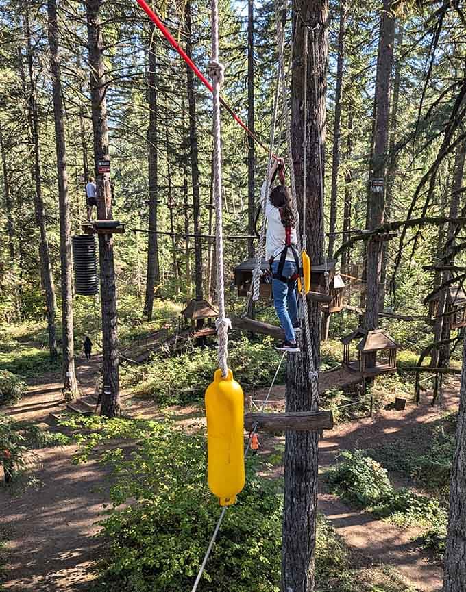 High above the forest floor, adventurers navigate obstacles that make regular hiking look like a leisurely stroll through the mall.
