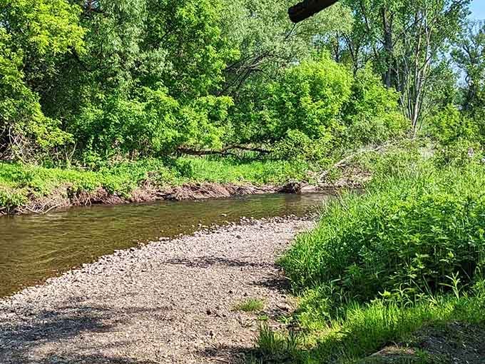 The Vanderheyden Preserve shows nature doing its thing just minutes from downtown's architectural splendor.