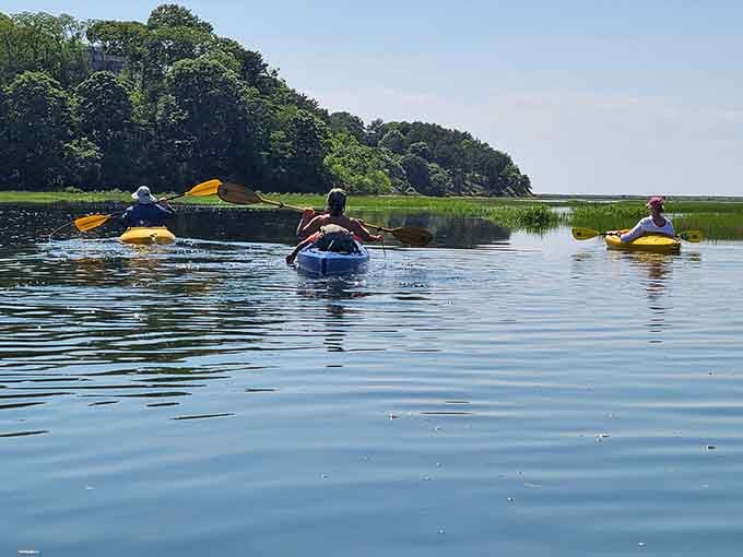 Kayaking through Truro's salt marshes offers peaceful exploration where water meets sky in perfect harmony.