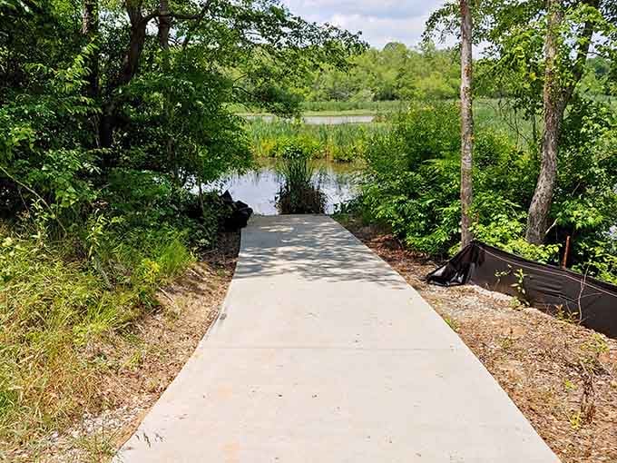 This smooth pathway means everyone gets to enjoy waterfront views without navigating rocky terrain.