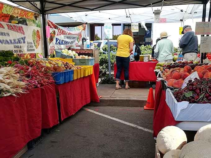 Vancouver Farmers Market bursts with fresh produce and local goods, making grocery store tomatoes seem like sad, flavorless imposters.