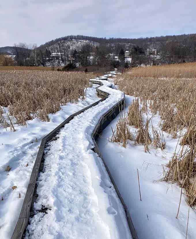 Winter transforms the landscape into a frosted wonderland, proving this trail delivers beauty year-round without complaint.