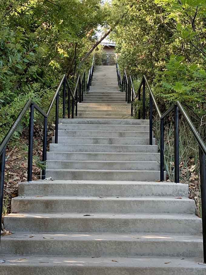 These stairs lead to elevated views that'll make your calves burn and your camera roll very happy.