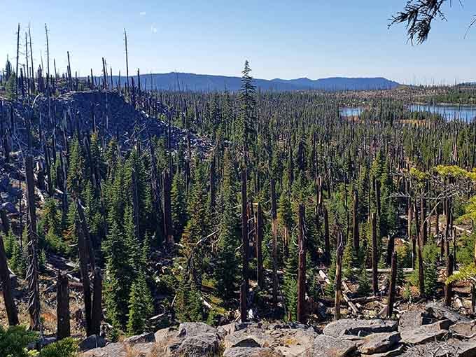 The view after a wildfire shows nature's resilience, with new growth reclaiming the landscape around pristine waters.