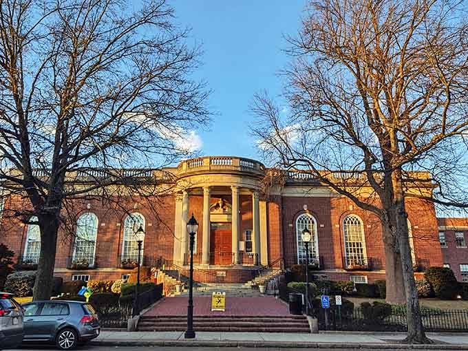 The library's golden hour glow makes you want to grab a book and settle in forever.