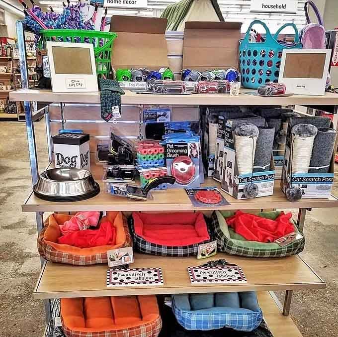 Even your furry friends deserve the thrift store treatment with beds, bowls, and supplies galore.