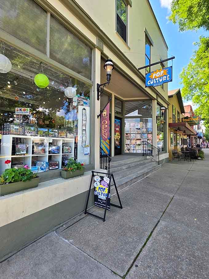 Pop's Culture Shoppe beckons with the promise of discoveries you didn't know you needed until right now.