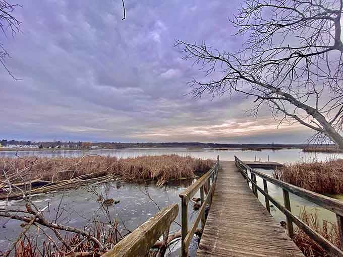 This peaceful boardwalk at Lions Park proves that sometimes the best entertainment is just water and sky.