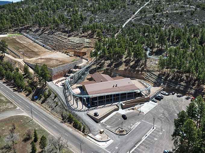 Canyon Coaster sits nestled in the pines, ready to make you scream like you're twenty years younger.
