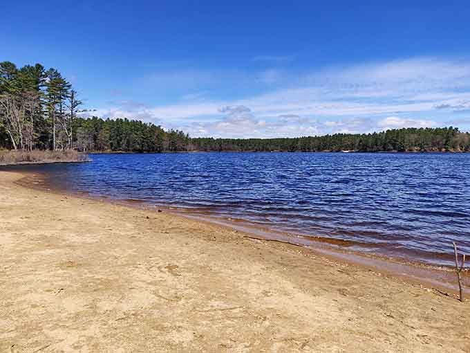 Lake Dennison's beach reminds you that paradise doesn't require a plane ticket, just a reasonable drive.
