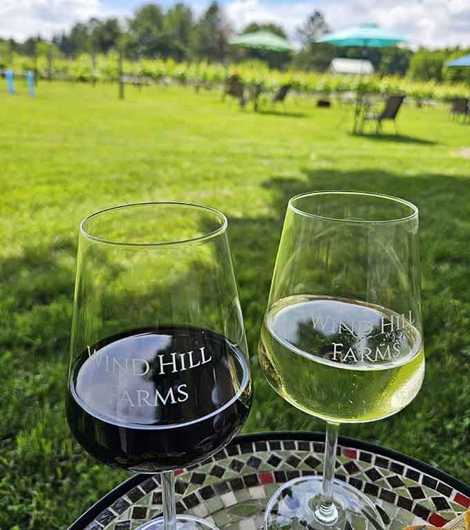 Red or white becomes the easiest decision you'll make all day when both glasses overlook rolling vineyard views.