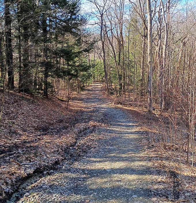 The trail beckons you forward like a path in a storybook, minus the breadcrumbs and questionable witches.