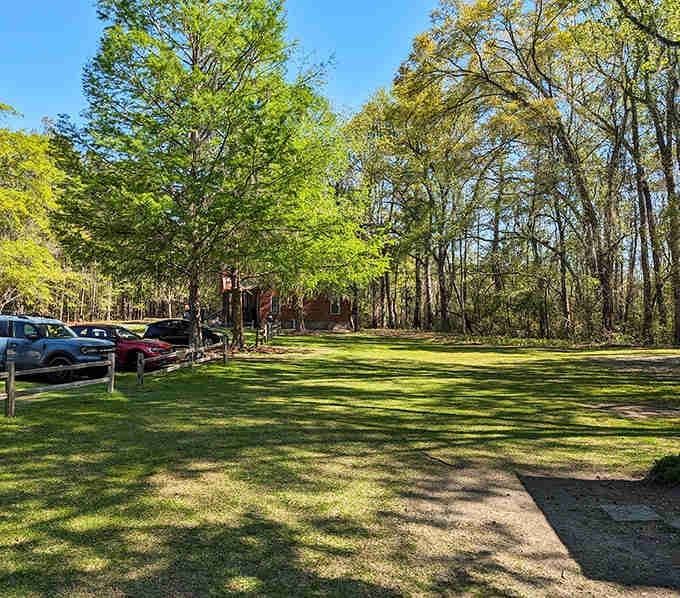 Sunlight filters through the trees like nature's own spotlight, illuminating a parking area that leads to pure magic.