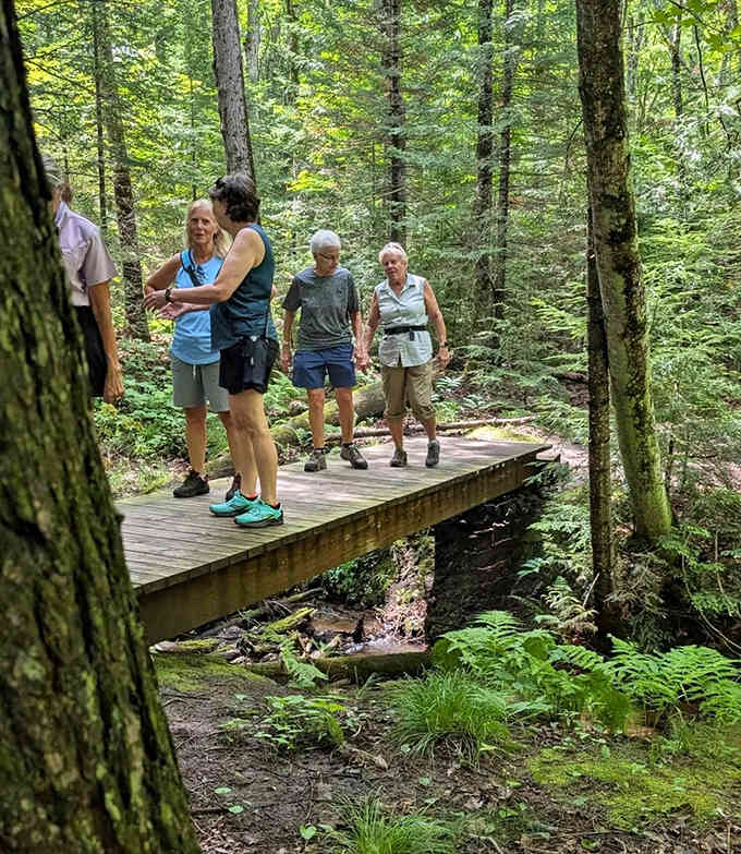 That wooden bridge means civilization cares enough to help you reach paradise without twisting an ankle along the way.
