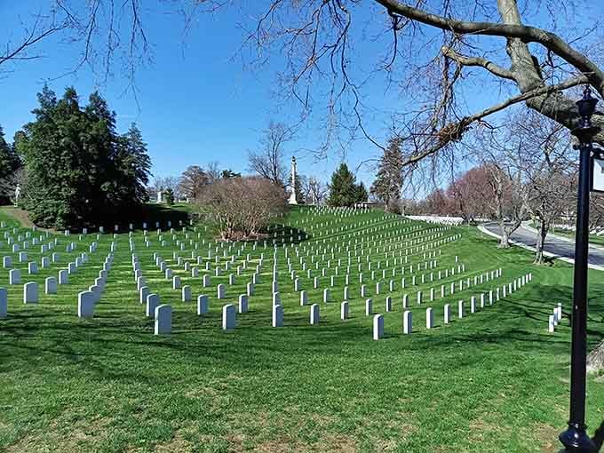 Rows of white markers stretch across emerald hills in perfect formation, a humbling reminder of sacrifice that costs nothing to witness.