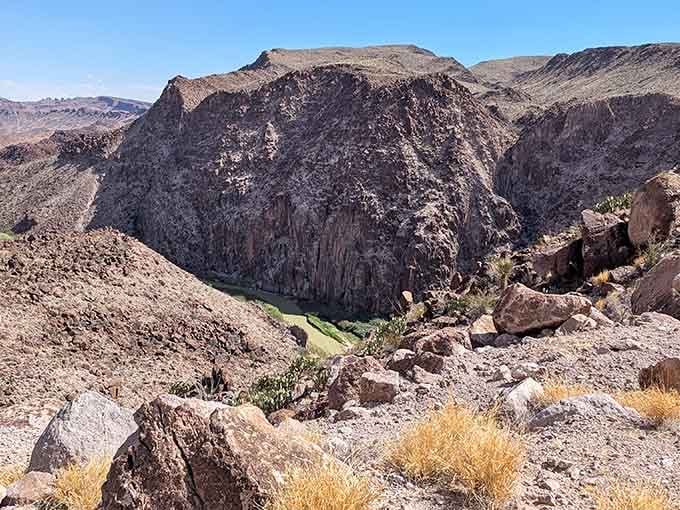The rugged canyon walls drop dramatically to reveal the river below, a green ribbon cutting through this otherworldly landscape of stone.