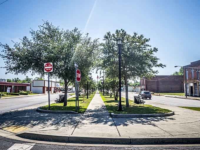 That tree-shaded median creates a natural gathering spot where neighbors can pause and chat comfortably.