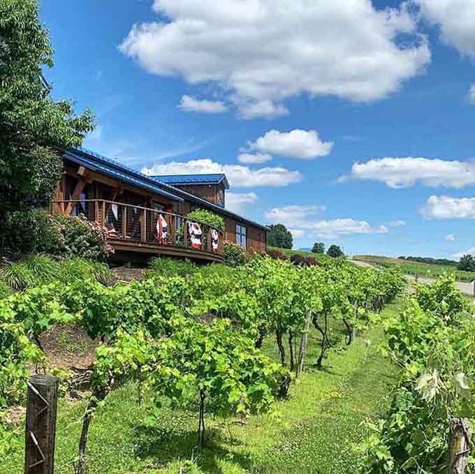 The rustic charm of this hillside tasting room proves that simple beauty never goes out of style.