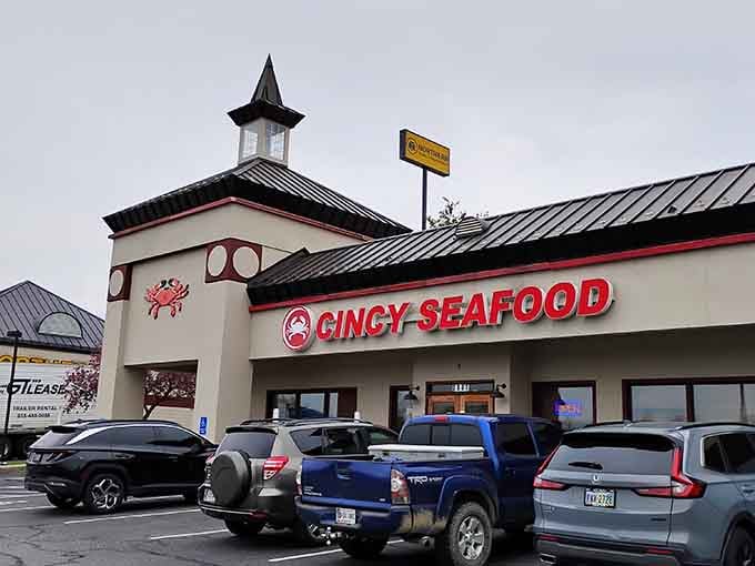 That packed parking lot tells you everything: when locals know about great seafood, word spreads faster than butter.