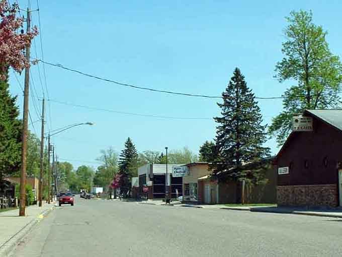 Tree-lined streets create natural canopies over quiet neighborhoods where everyone still waves to strangers.