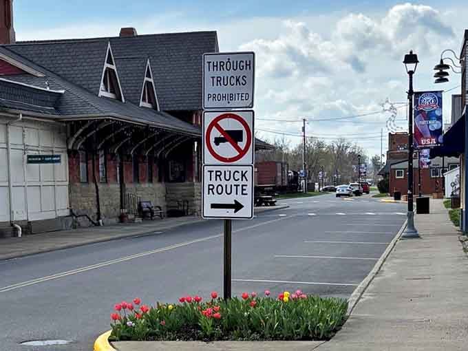 Spring tulips brighten the street corner, adding cheerful color where trucks know better than to venture through.
