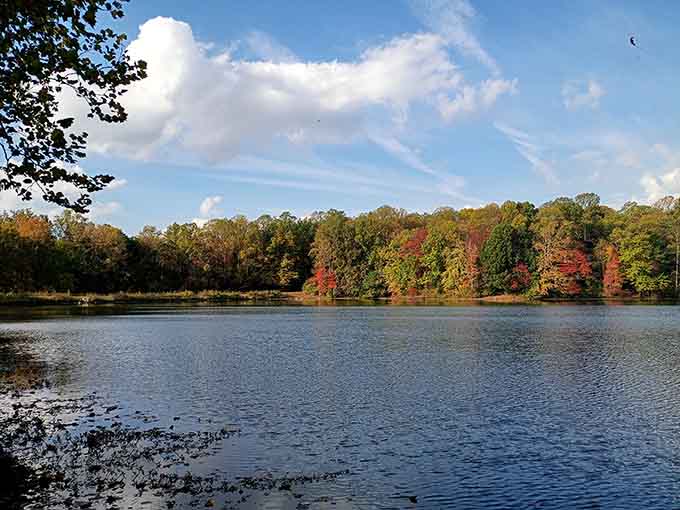 When autumn decides to show off, this lake becomes a canvas of reds and golds reflected perfectly.