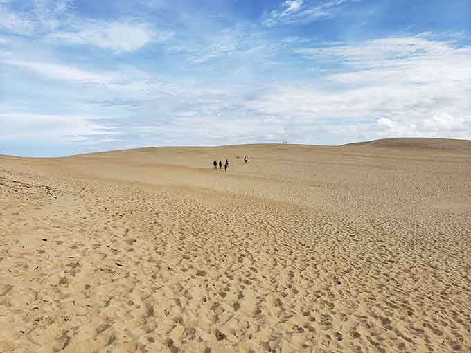 That endless expanse of sand under blue skies makes you feel like you've stepped into another world.