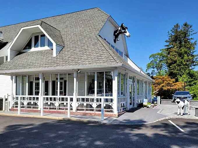 That wraparound porch whispers promises of comfort food while the cow statue out front makes sure you don't miss it.