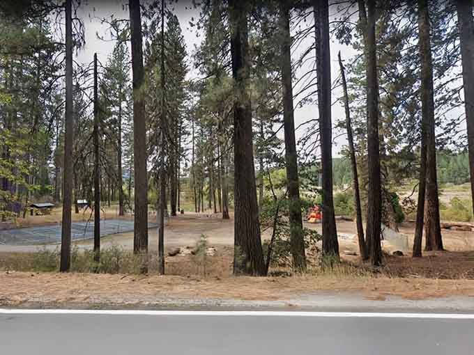Towering pines create natural cathedral walls around this peaceful spot where nature does most of the talking.