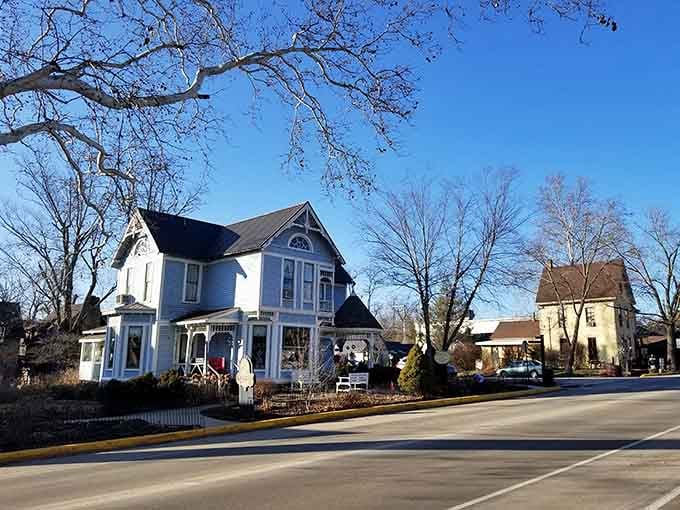 When bare branches create natural artwork above a storybook house, you know you've found something special worth sharing.