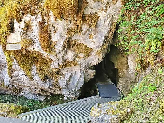 Moss-draped marble entrance dressed in gold and green, like nature's own welcome mat to wonderland.