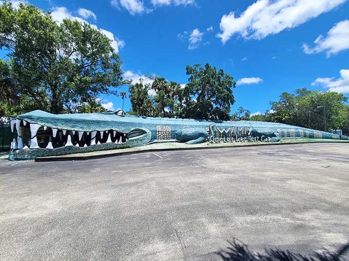 Swampy's toothy grin stretches wider than your uncle's fish stories, and those jaws could swallow a compact car whole.