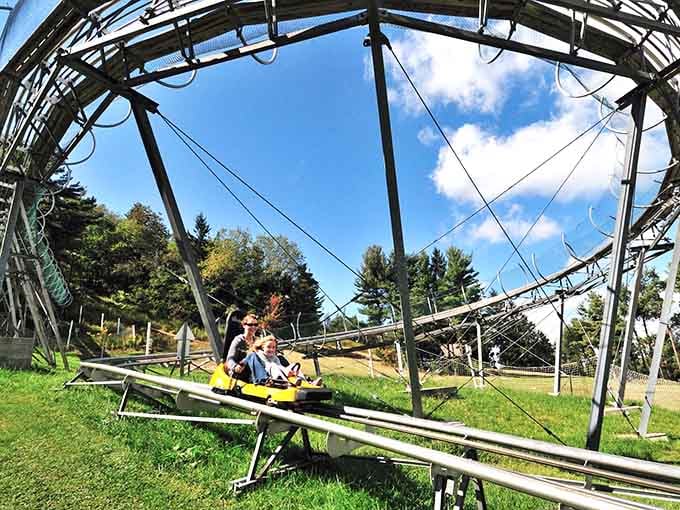 Buckle up for gravity-powered thrills as this mountain coaster sends you swooping through curves like a caffeinated bobsled run.