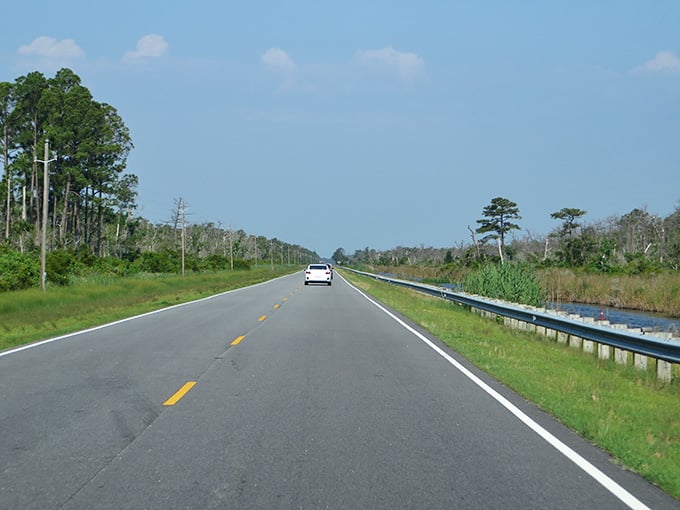 Wild coastal wetlands frame this smooth highway where nature's untamed beauty meets perfectly paved asphalt and open sky.
