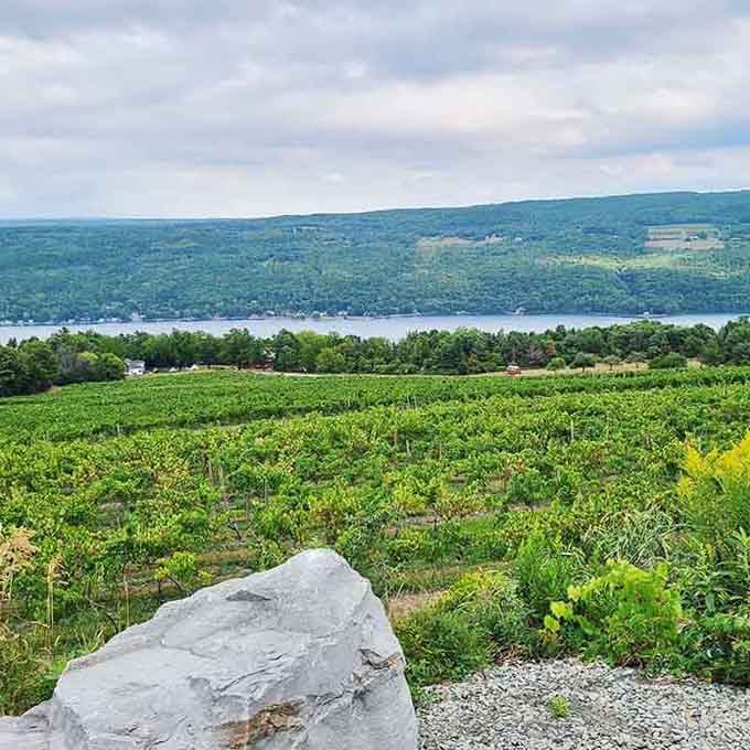 Green vines cascade down toward that shimmering lake view that makes every sip taste better somehow.