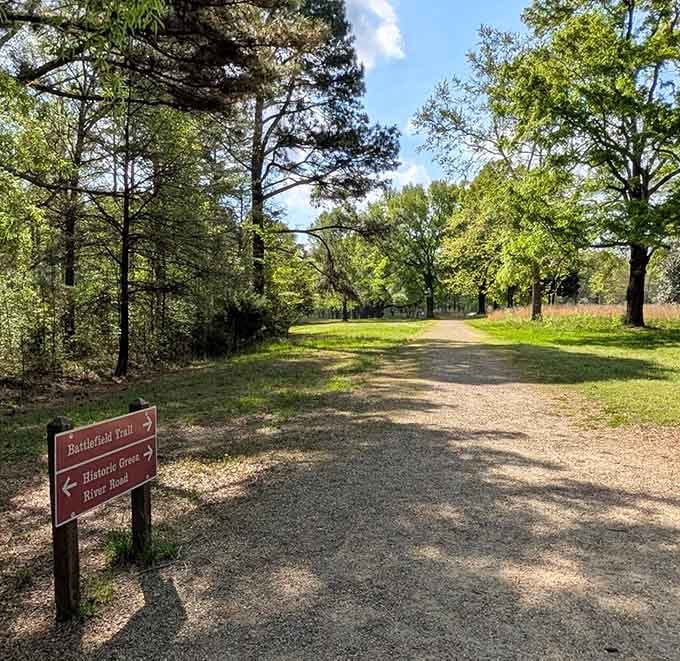 Spring sunshine illuminates a gravel trail where wooden signs point toward adventures waiting just around the bend.