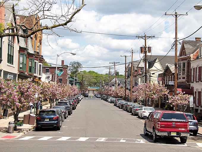 Spring blossoms frame this peaceful residential street where time moves at a refreshingly unhurried, neighborly pace.
