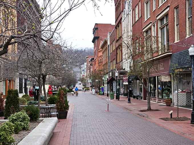 Trees frame the streets here, reminding you that good food tastes even better with a view.