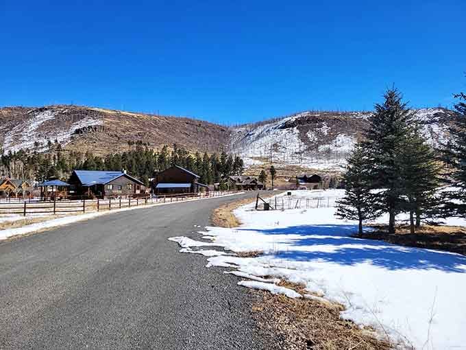 Winter transforms the landscape into a postcard scene, with snow-dusted peaks reminding you that Arizona has more seasons than advertised.