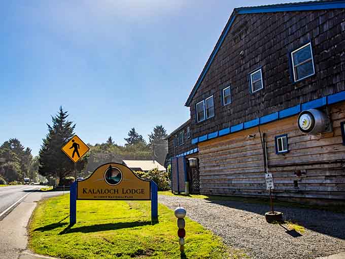 The Kalaloch Lodge sign welcomes you to rugged coastline adventures&mdash;where driftwood beaches meet endless ocean horizons beautifully.