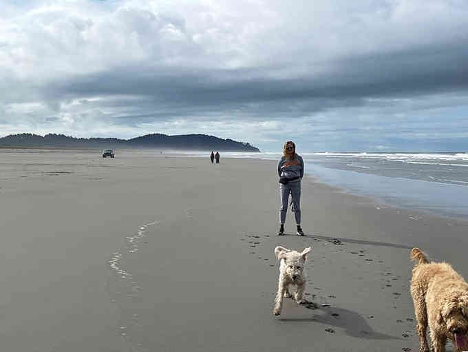 Even the dogs know this beach is special &ndash; look at them racing across that endless expanse of sand.