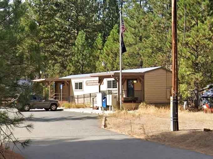 Forest shadows dance across quiet roads where the biggest traffic jam involves waiting for a deer to cross.