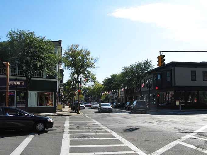 Tree canopy overhead creates a natural tunnel effect that makes every drive feel like a scenic route.
