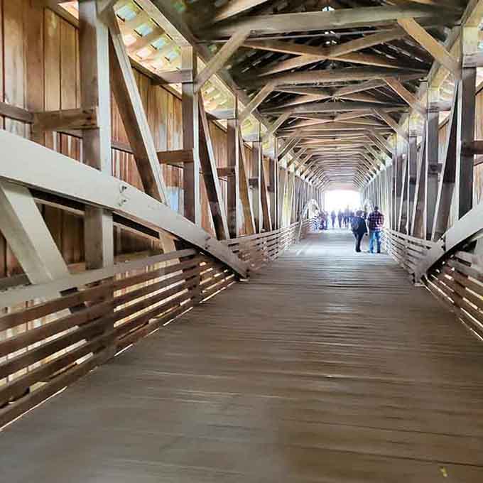 Step inside this wooden tunnel where light filters through gaps, turning an ordinary walk into a cathedral experience.