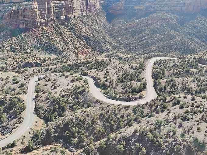 Those serpentine curves wind through desert landscape like a ribbon, showing why this trail earned its slithery name perfectly.