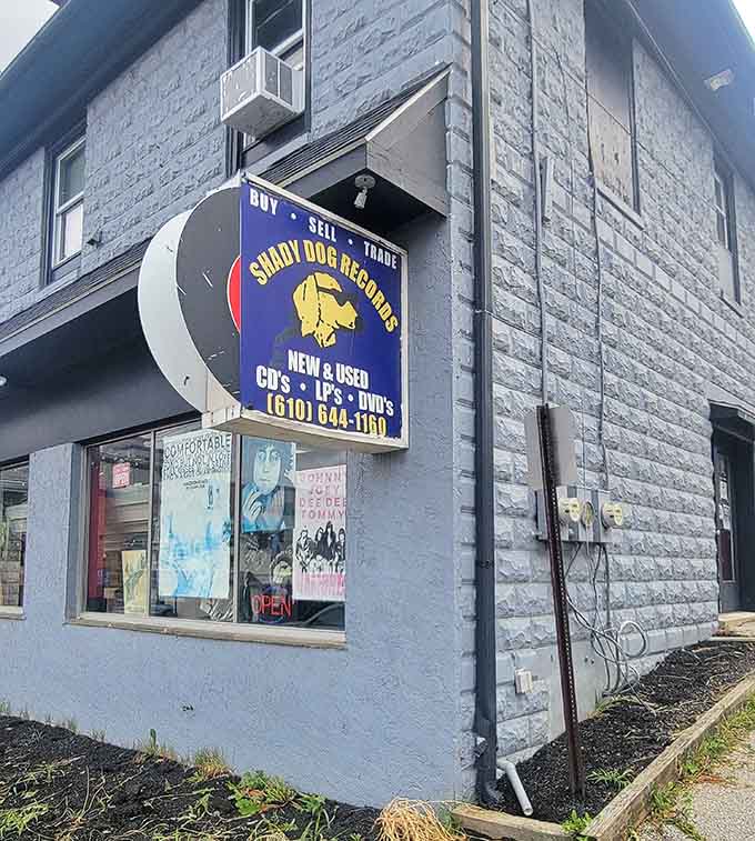 Shady Dog's vibrant sign and inviting windows beckon music enthusiasts to step inside and start exploring.