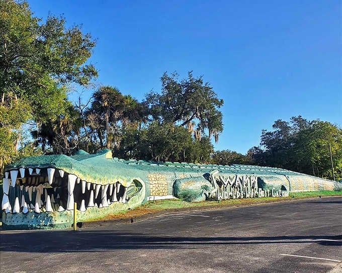 This massive concrete gator sprawls across the parking lot like he owns the place, which honestly, he kind of does.