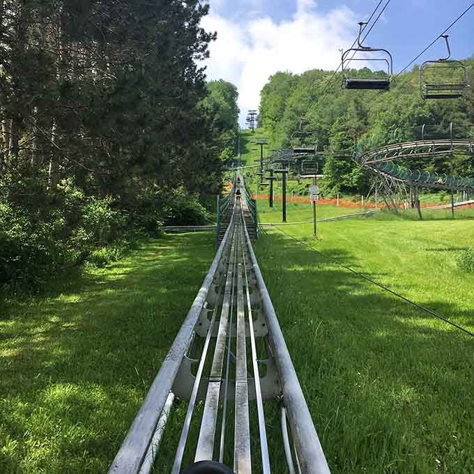 The track stretches downhill through summer greenery, promising the kind of adrenaline rush that makes you feel wonderfully alive.